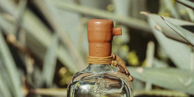 Our Tequila - The Lost Explorer
