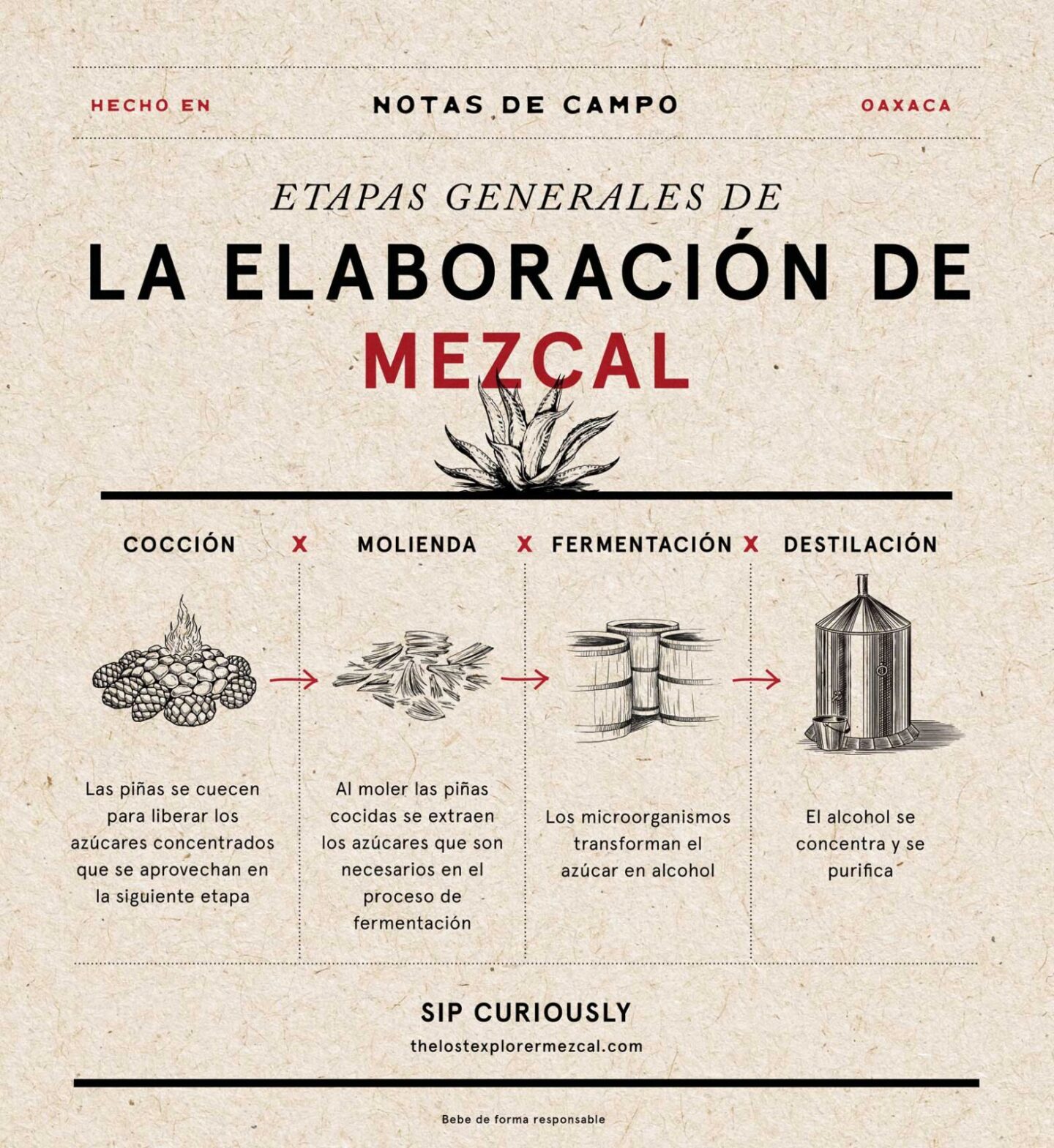 Las tres categorías de mezcal: ¿Cuál es la diferencia? - The Lost Explorer